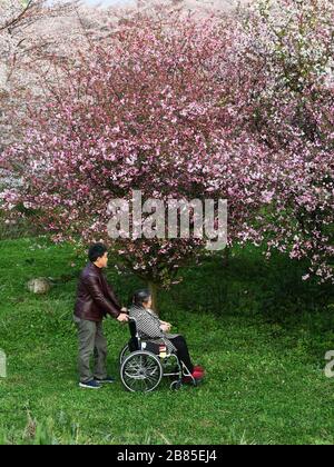 Guiyang, China's Guizhou Province. 19th Apr, 2024. Chinese and French ...