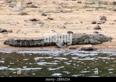 Afrique du sud Blade river Canyon r Crocodile Laurent Lairys / DPPI ...