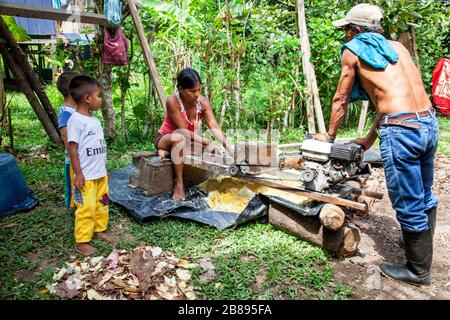Natives, Indians, Amazon Indian Tribe, indiginous, Ticuna, Indian Stock ...