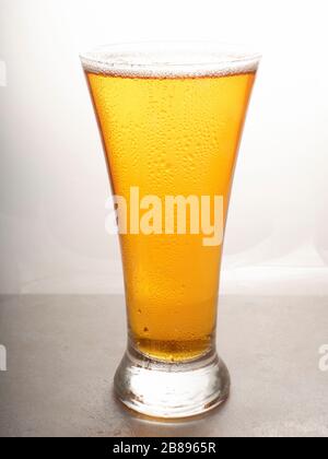 Fresh draught lager or IPA beer is glass served in indoor cafe close up ...