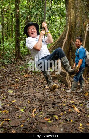 Giant Oje tree in the Amazon rain forest. Peru, South America Stock ...