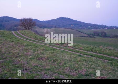 Parco di Veio, regional park in the province of Rome. Ancient Roman ...