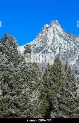 ross peak in the bridger range of gallatin national forest near bozeman ...