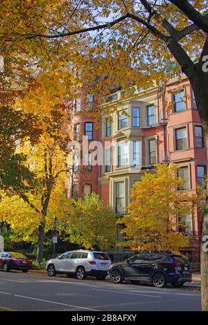 USA, Massachusetts, Autumn leaf Stock Photo - Alamy