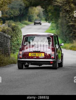 Classic British mini car back view isolated on white Stock Photo - Alamy