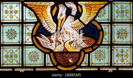 Christian Pelican feeding her young with her blood one of the enduring ...