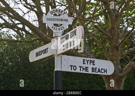 The Cockcrowing finger post road sign just off the A35 at Higher Eype ...