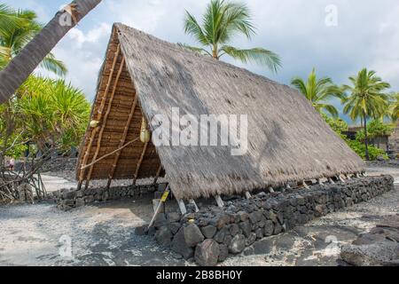 Traditional Hawaiian dwelling (thatched hut) inside the Bishop Museum ...