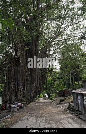 Street scene, Baucau, Timor-Leste (East Timor), Asia Stock Photo - Alamy