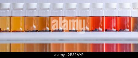 Colours of methanol extracted slivers of Dalbergia tree species in ...