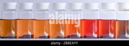 Colours of methanol extracted slivers of Dalbergia tree species in ...