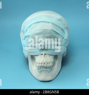 Blue gypsum human skull on isolated pink background with clipping path ...