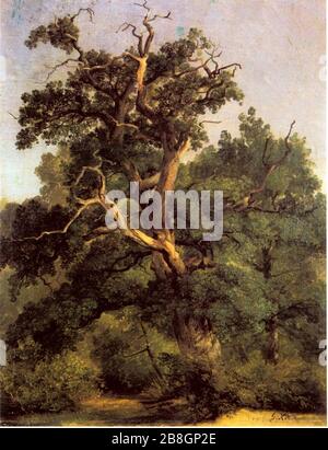 Gottfried Keller Eichen 1843 Stock Photo - Alamy