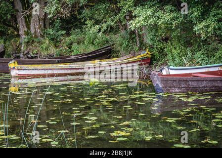 Old wooden boats on a Wigry Lake near Slupie and Gawrych Ruda villages ...
