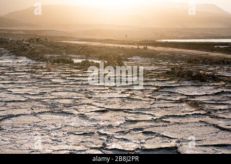 Salt cracks pattern on the lake surface in Australia Stock Photo - Alamy