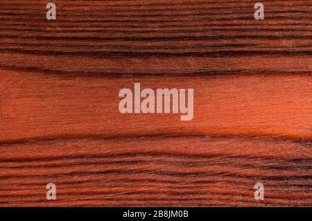 Furnished background with a wooden texture with a non-reflective ...