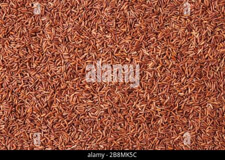 Texture of grains of red uncooked rice Stock Photo - Alamy