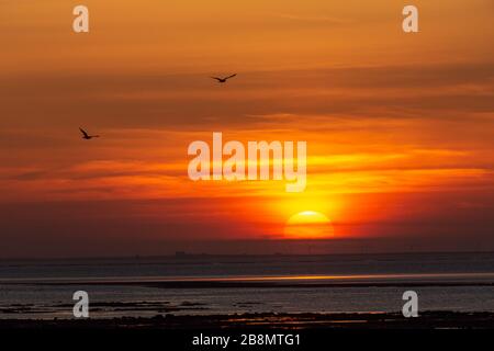 Morecambe Bay, United Kingdom 22nd June 2026, After tonight the nights ...