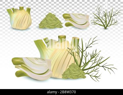 fennel seeds vector on white background Stock Vector Image & Art - Alamy