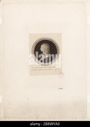 Louis XVI, Marie-Antoinette, and Louis-Charles, 1793 by Jacob Adam ...