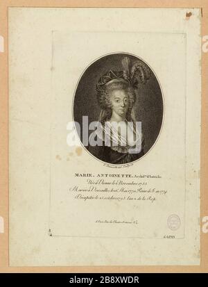 Marie Antoinette, Archduchess of Austria Stock Photo - Alamy
