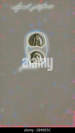 Agnostus pisiformis, Print, Agnostus is a genus of agnostid trilobites ...