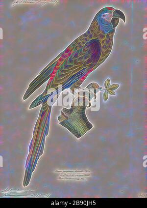 Illiger's Macaw Ara maracana Stock Photo - Alamy