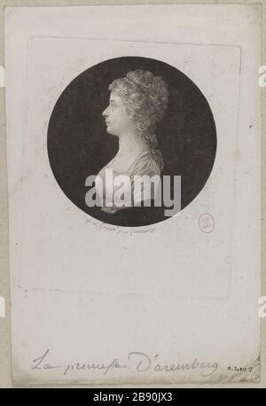 Portrait of Princess of Arenberg Edmé Quenedey (1756-1830). "Portrait ...
