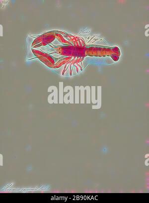 Homarus capensis, Print, The Cape lobster, Homarinus capensis, is a ...