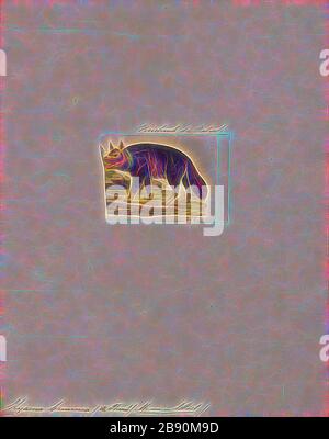 Brown hyena (Hyaena brunnea), also called Strandwolf. The rarest ...