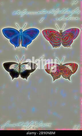 Hypochrysops, Print, Hypochrysops is a genus of butterflies in the ...