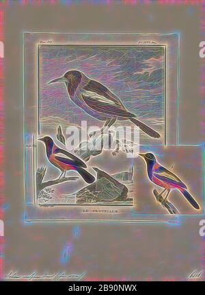 Icterus vulgaris, Print, 1700-1880 Stock Photo - Alamy