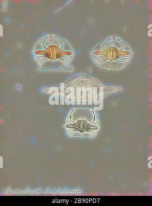 Bright red crab from the Pacific Ocean Stock Photo - Alamy