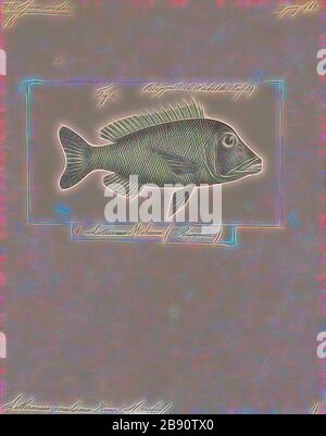 Sky Emperor Fish (Lethrinus mahsena). Egypt, Red Sea Stock Photo - Alamy