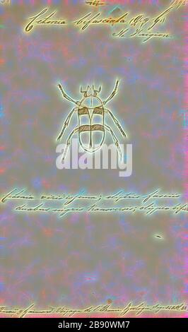 Lomaptera, Print, Lomaptera are beetles from the subfamily Cetoniinae ...