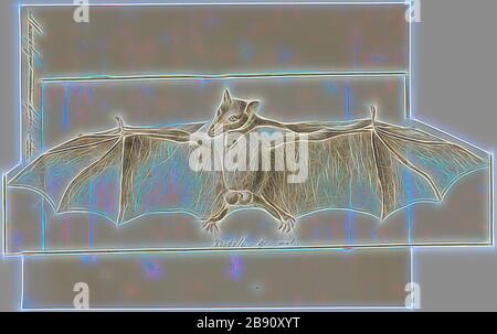 Northern blossom-bat (Macroglossus minimus pygmaeus Stock Photo - Alamy