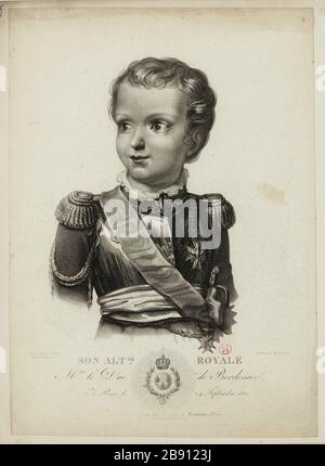 His Royal Highness the Duke of Bordeaux Stock Photo - Alamy