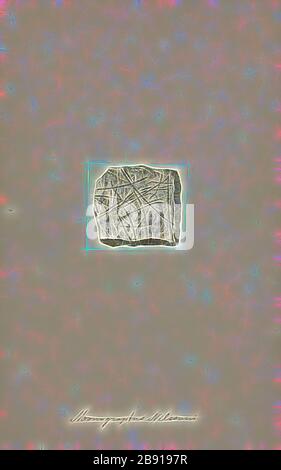 Monograptus, Print, Monograptus is a genus of graptolites in the Order ...