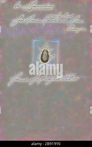 Murmidius, Print, Murmidius is a genus of beetles in the family ...