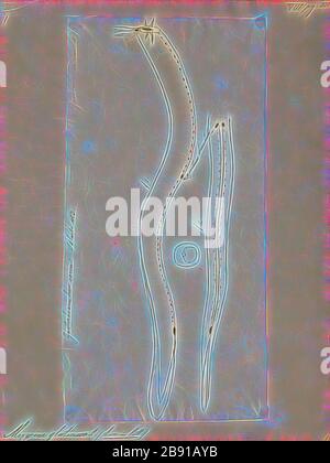 Myxine glutinosa, Print, Myxine glutinosa, known as the Atlantic ...