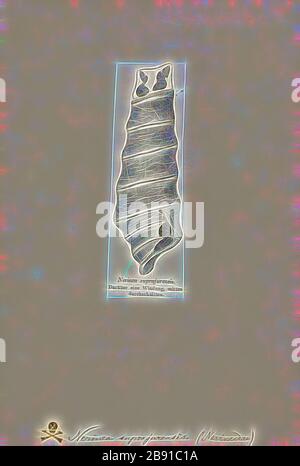 Nerinea suprajurensis, Print, †Nerinea is an extinct genus of fossil ...