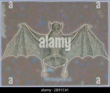 Greater Bulldog Bat (Noctilio leporinus) leaving its roost at nightfall ...