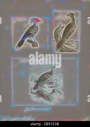 The hoatzin (Opisthocomus hoazin), also known as the reptile bird ...