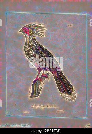 The hoatzin (Opisthocomus hoazin), also known as the reptile bird ...