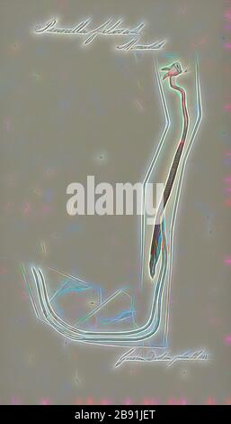 Pennella filosa, Print, Pennella is a genus of large copepods which are ...