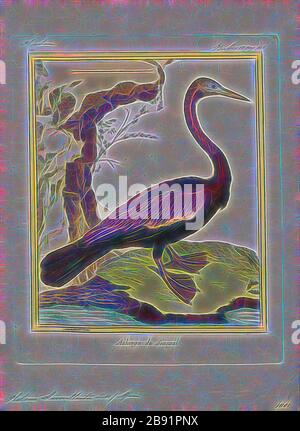 The darters or snakebirds are mainly tropical waterbirds in the family ...