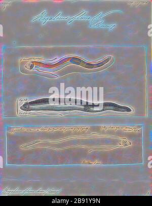 Regalecus glesne, oarfish Stock Photo - Alamy