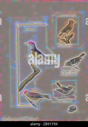 The common firecrest, also known as the firecrest Stock Photo - Alamy