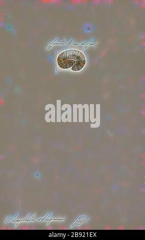 Scaphites obliquus, Print, Scaphites is a genus of heteromorph ...