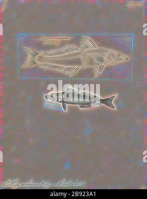 The northern whiting, Sillago sihama (also known as the silver whiting ...